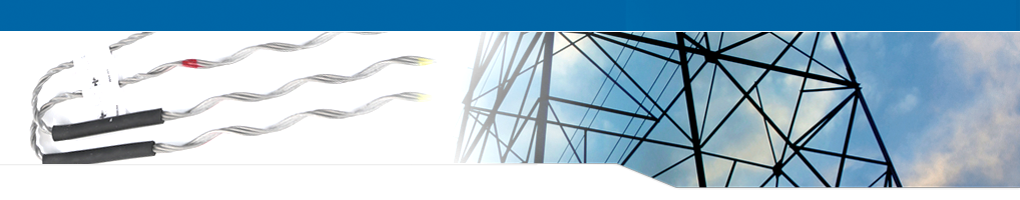 Preformed Line Products - Raptor Protector